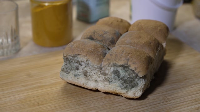 Mold On Bread Stock Footage: Royalty-Free Video Clips - Storyblocks