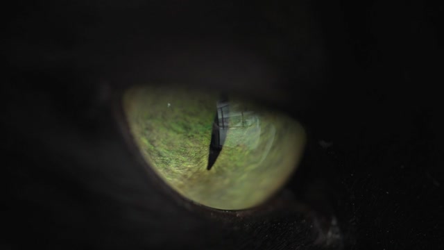 Eyes Opening And Closing First Person Stock Footage: Royalty-Free Video ...