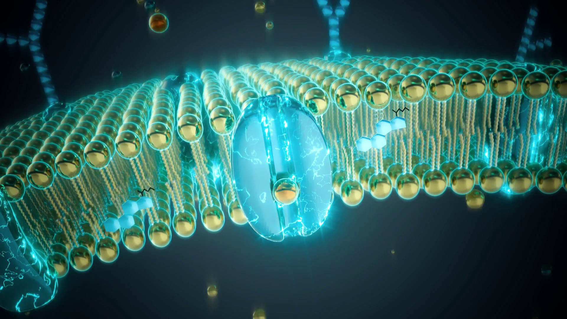 Conceptual Animation Of Cell Plasma Membrane Stock Footage SBV ...