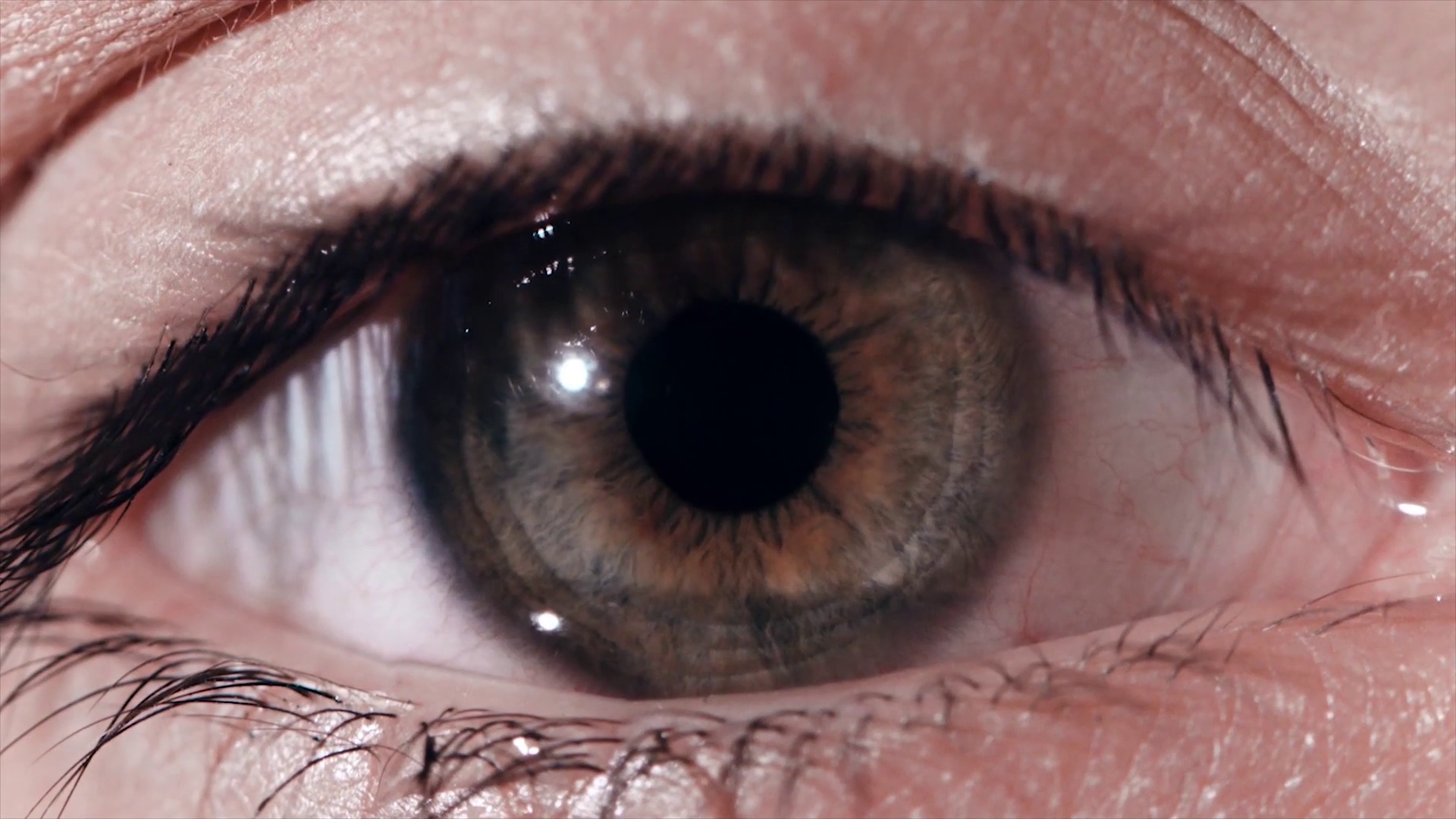 Eye Pupil Reaction To Light Humans Eye Macro Stock Footage SBV ...