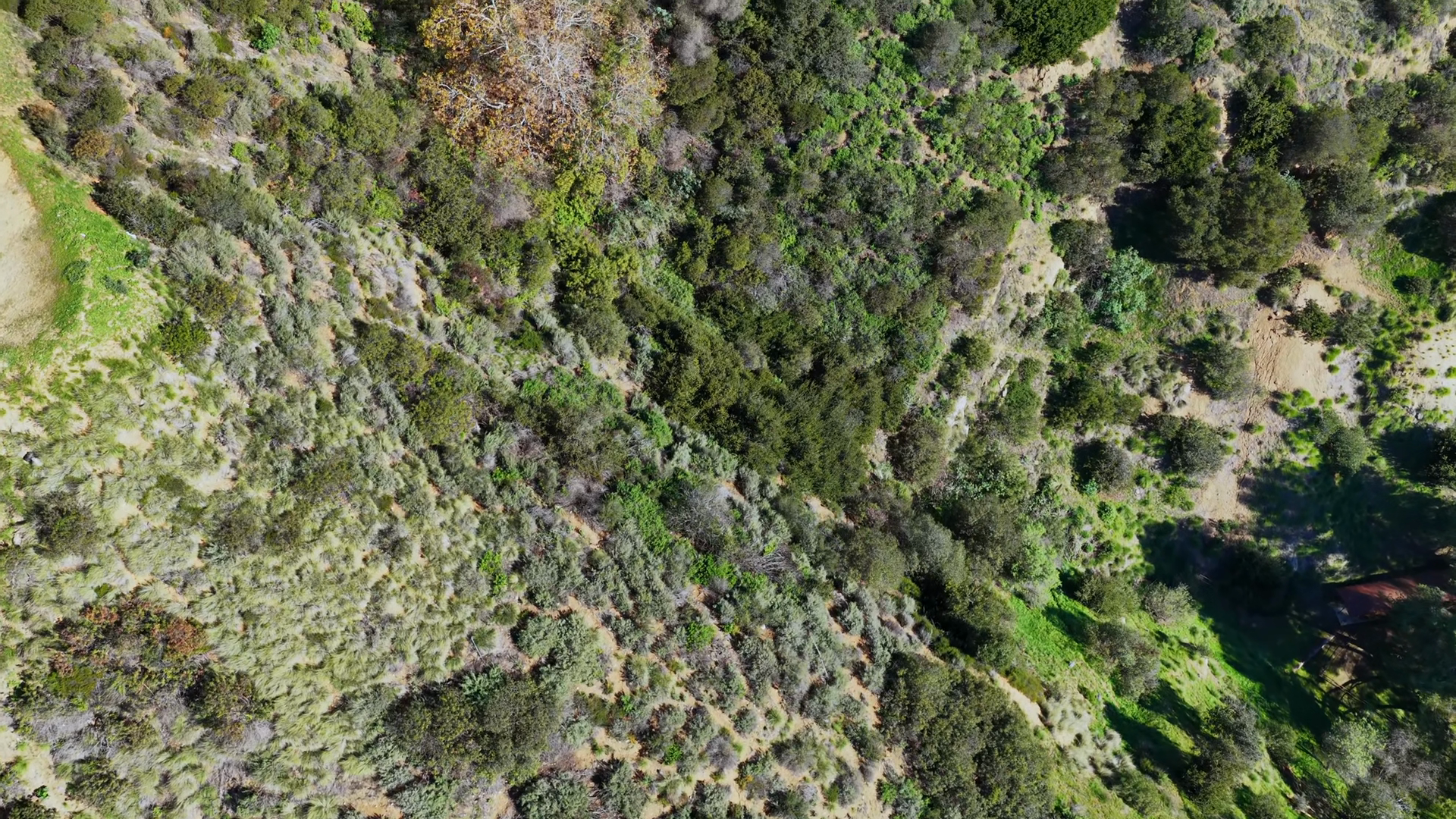 Hollywood Hills Aerial View 4k Birds-eye Stock Footage SBV-353794678 ...