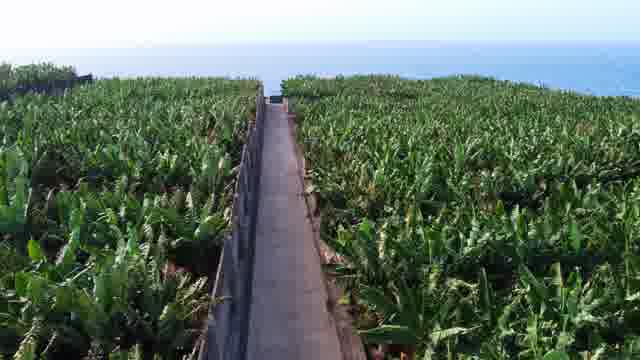 Drip Irrigation Israel Stock Footage: Royalty-Free Video Clips ...