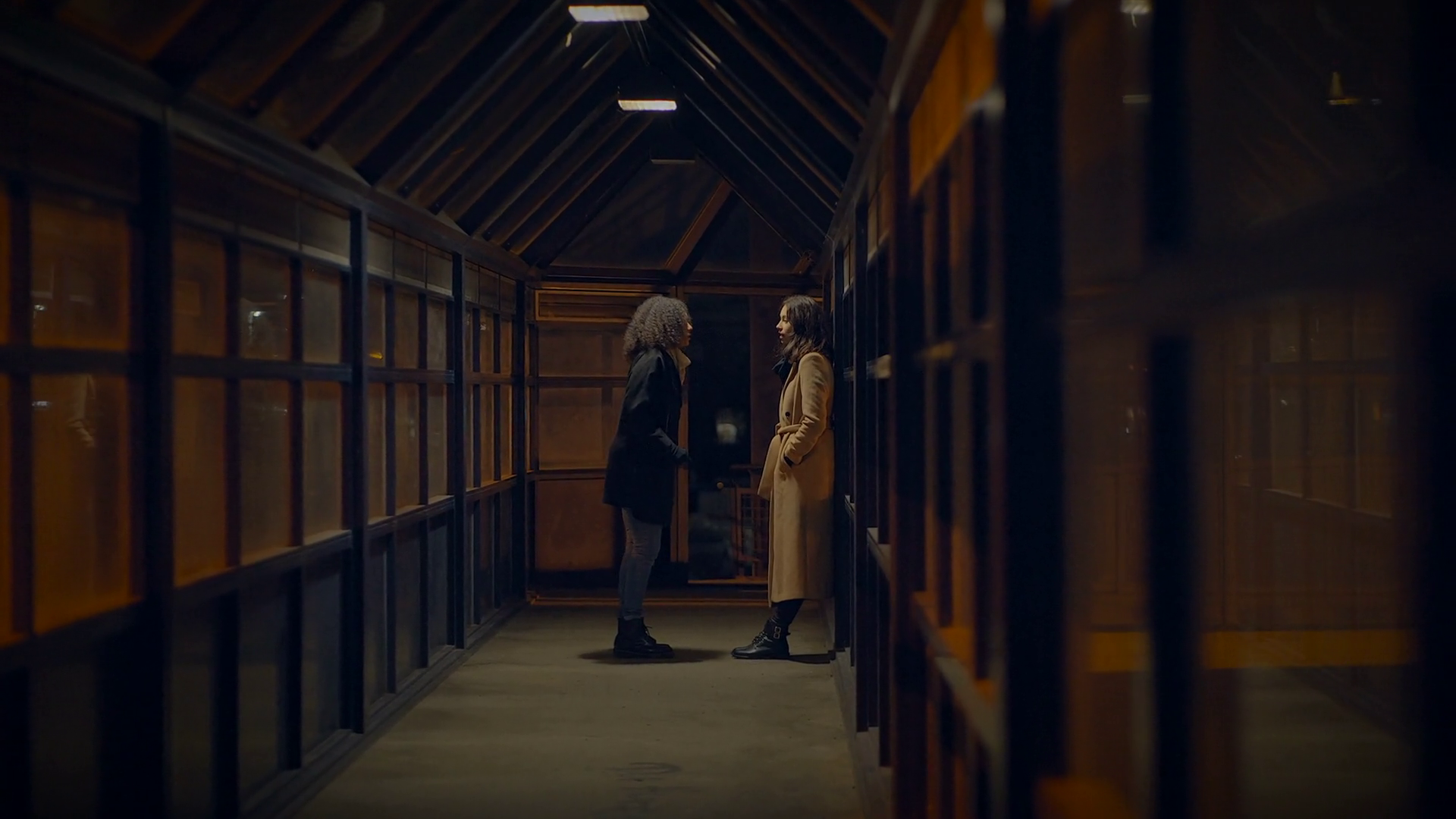 Young Woman Confronting Female Friend On Stock Footage SBV-348830408 ...