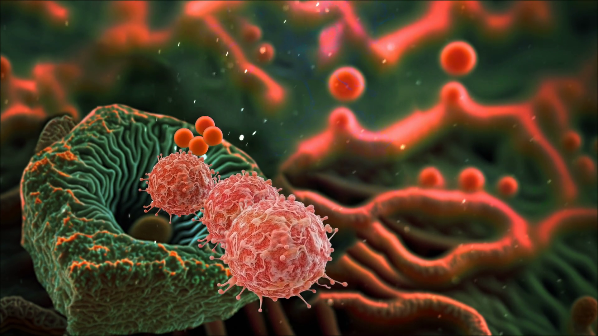 Animation Of Damaged Disintegrating Cancer Stock Motion Graphics SBV ...