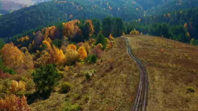 Winding Trail Stock Footage: Royalty-Free Video Clips - Storyblocks
