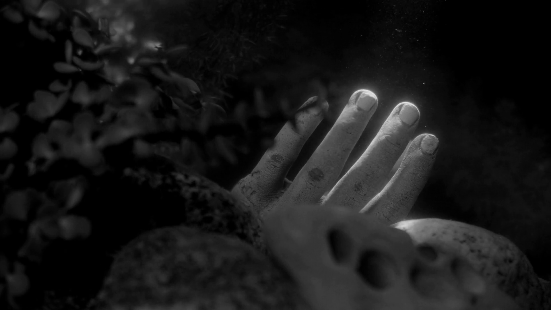 Deceased Human Hand On Lake Bottom Stock Footage SBV-336562197 ...