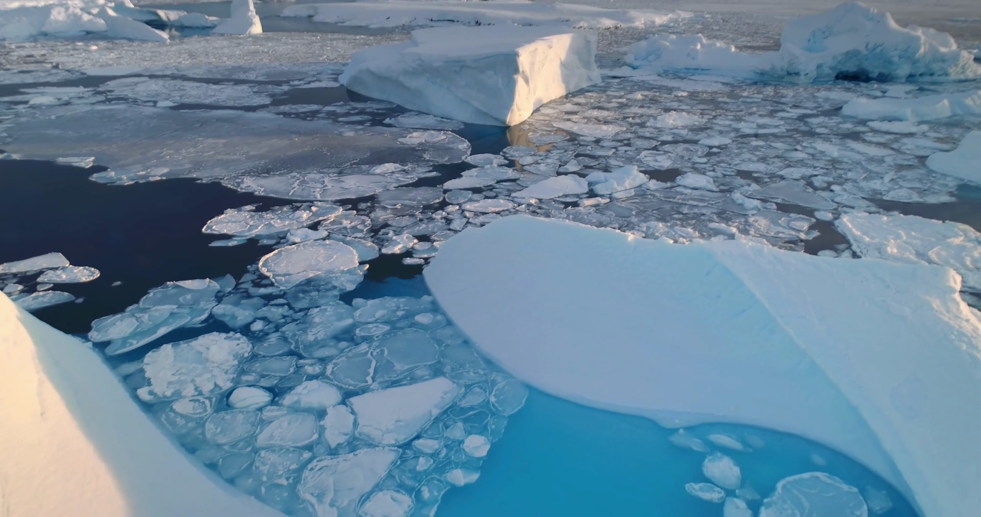 Group Of Icebergs Melting In Antarctica Stock Footage SBV-348985761 ...