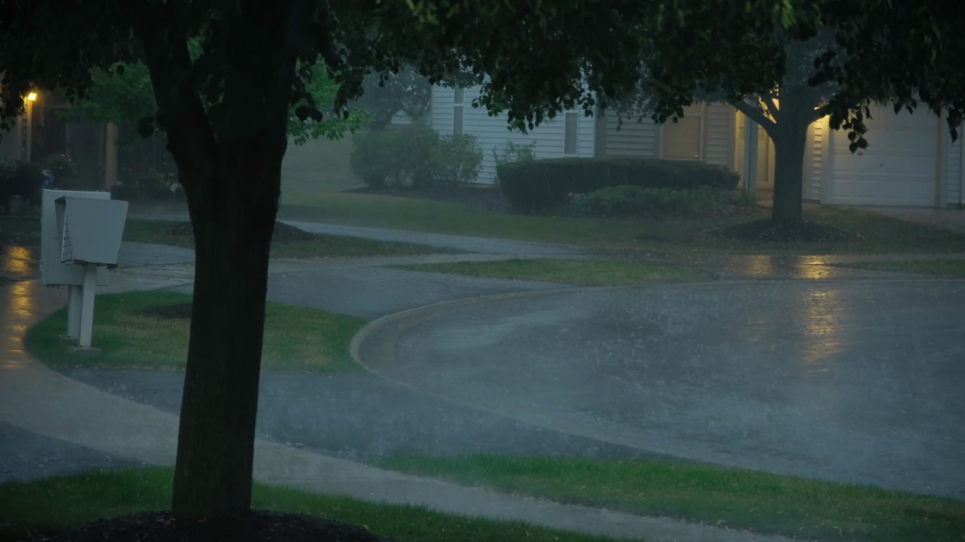 Heavy Rain Water Drops Storm Rain Falls On Stock Footage SBV-347808037 ...