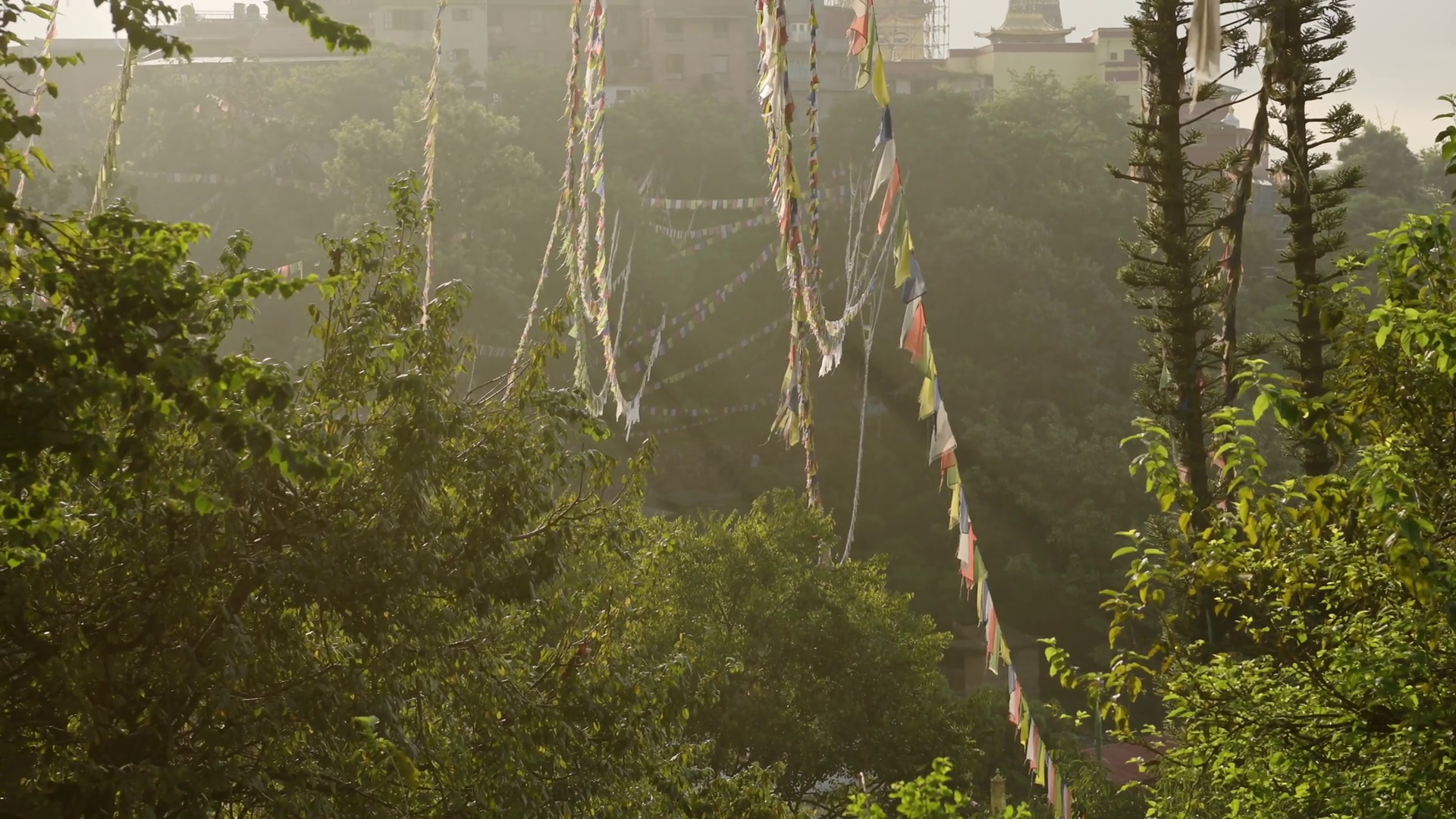 Prayer Flags In Forest At Sunrise At Monkey Stock Footage SBV-352922665 ...