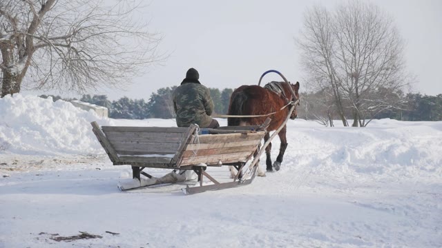 Horse Pulling Sleigh Stock Footage: Royalty-Free Video Clips - Storyblocks