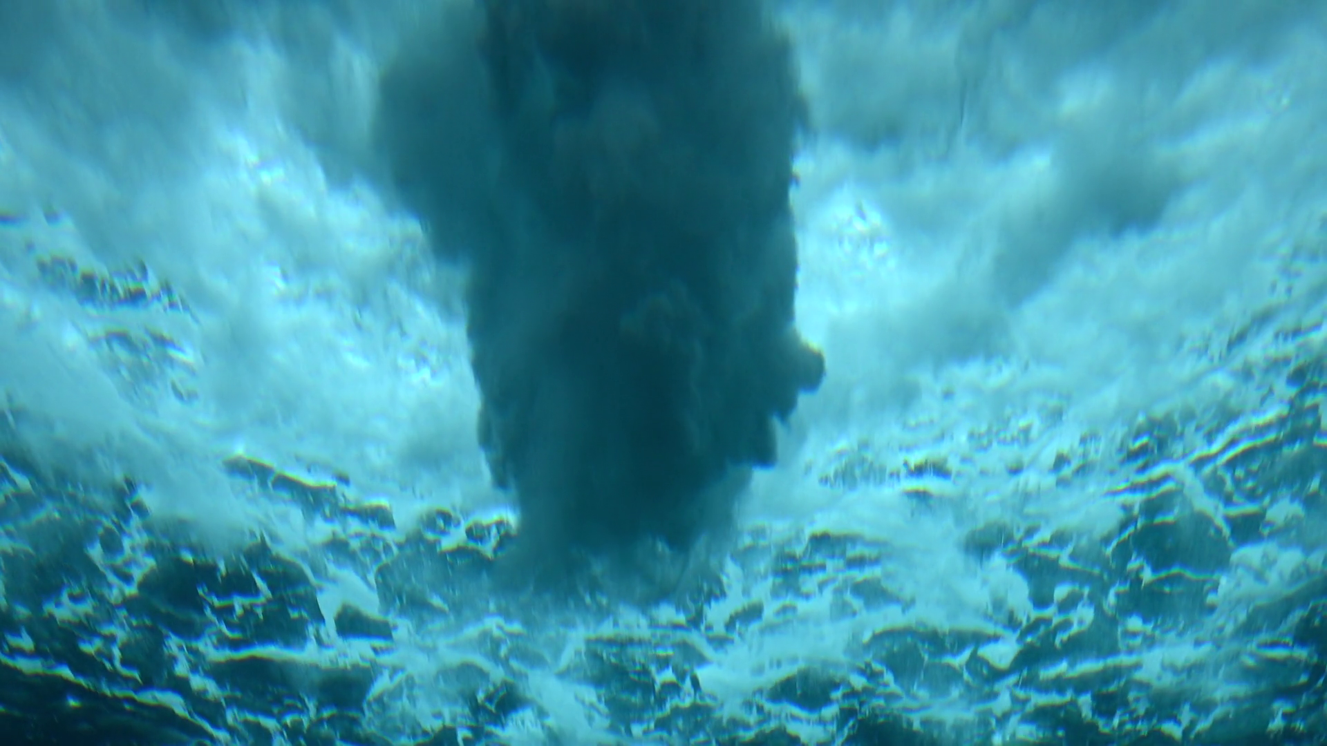 Watch Playful Young Sea Lions Dive Swim Stock Footage SBV-351988730 ...