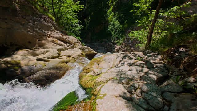 4k Nature Video Stock Footage: Royalty-Free Video Clips - Storyblocks
