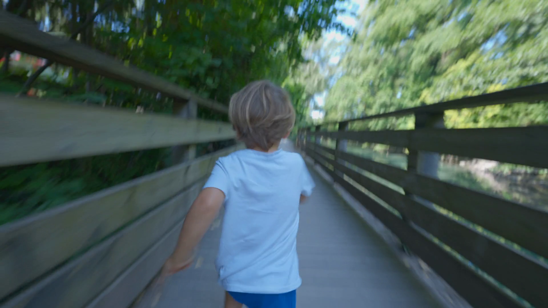 Back View Of Of Active Child Running Through Stock Footage SBV ...