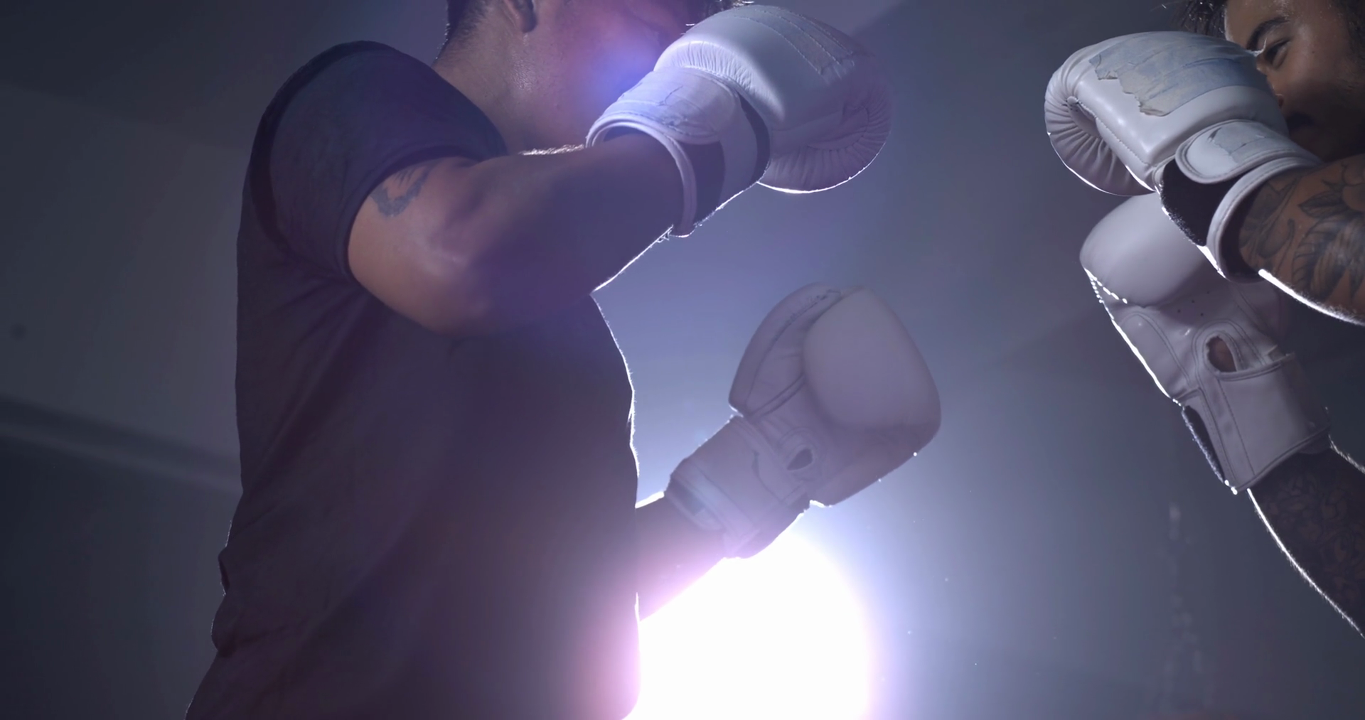 Boxer Getting Up From Ground In Stand Off Stock Footage SBV-348605206 ...