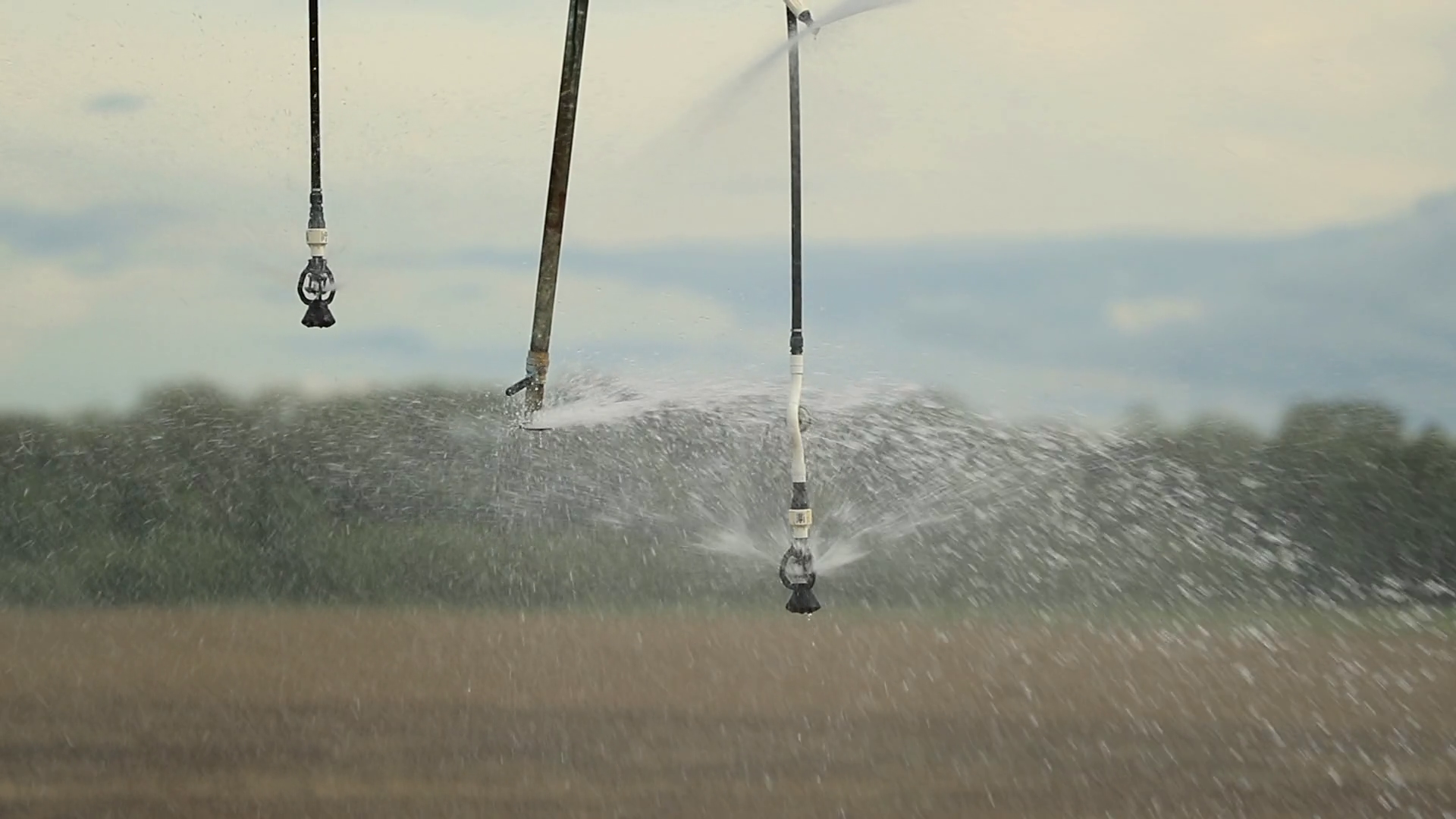 Slow Motion Close Up Of Pivot Sprinkler Stock Footage SBV-348486916 ...