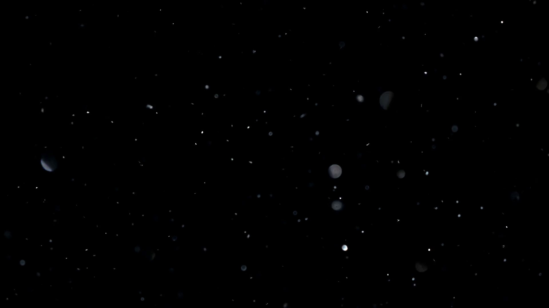 Particle Sparkling Overlays 10 Clips : Stock Motion Graphics SBV ...