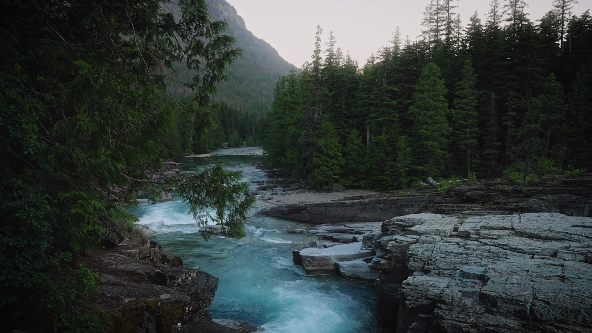 Glacier National Park River Forest Landscape Stock Footage SBV ...