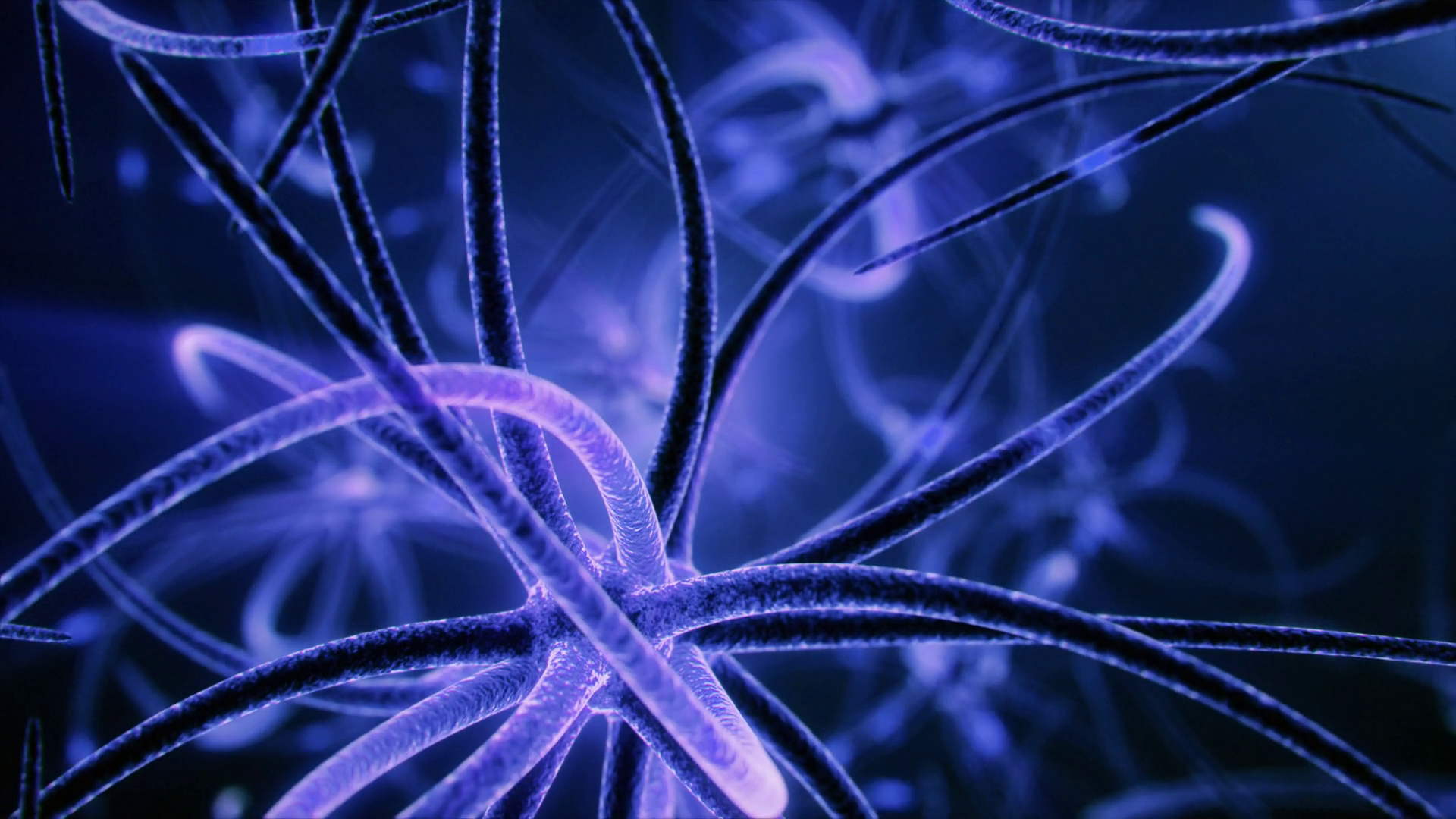 3d Animation Of Central Nervous System Stock Motion Graphics SBV ...