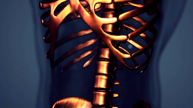 Body Inflammation Animation Stock Footage: Royalty-Free Video Clips ...