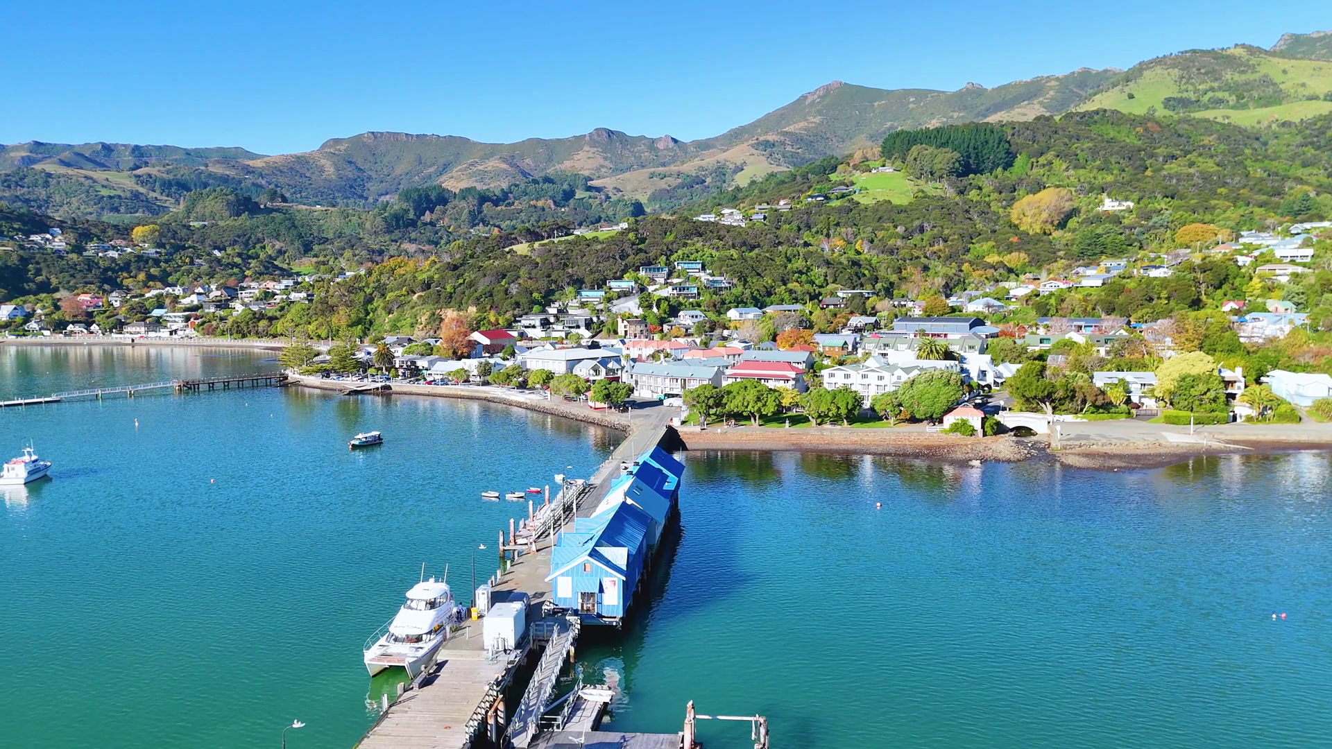 Scenic Aerial View Of Akaroa Harbour Stock Footage SBV-352412220 ...