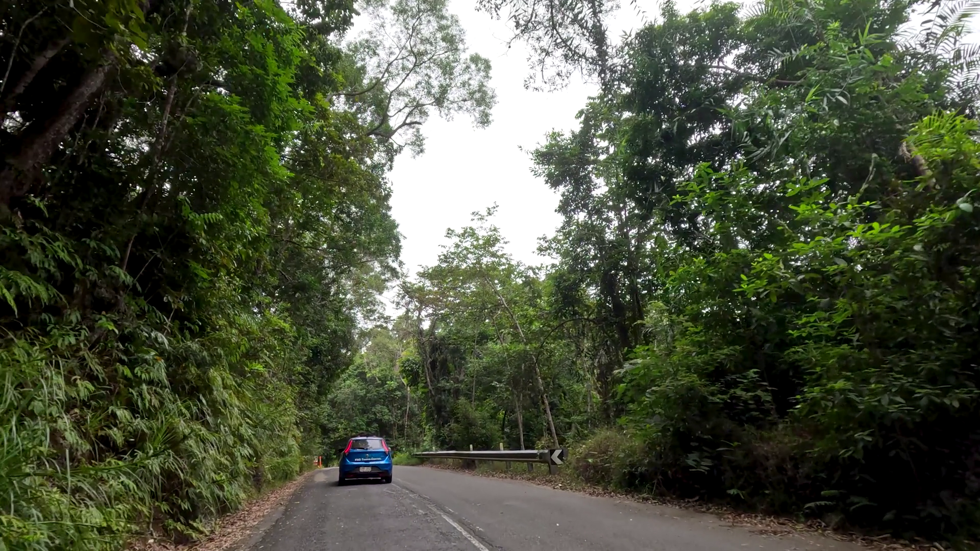 Car Driving Through Tropical Rainforest Road Stock Footage SBV ...