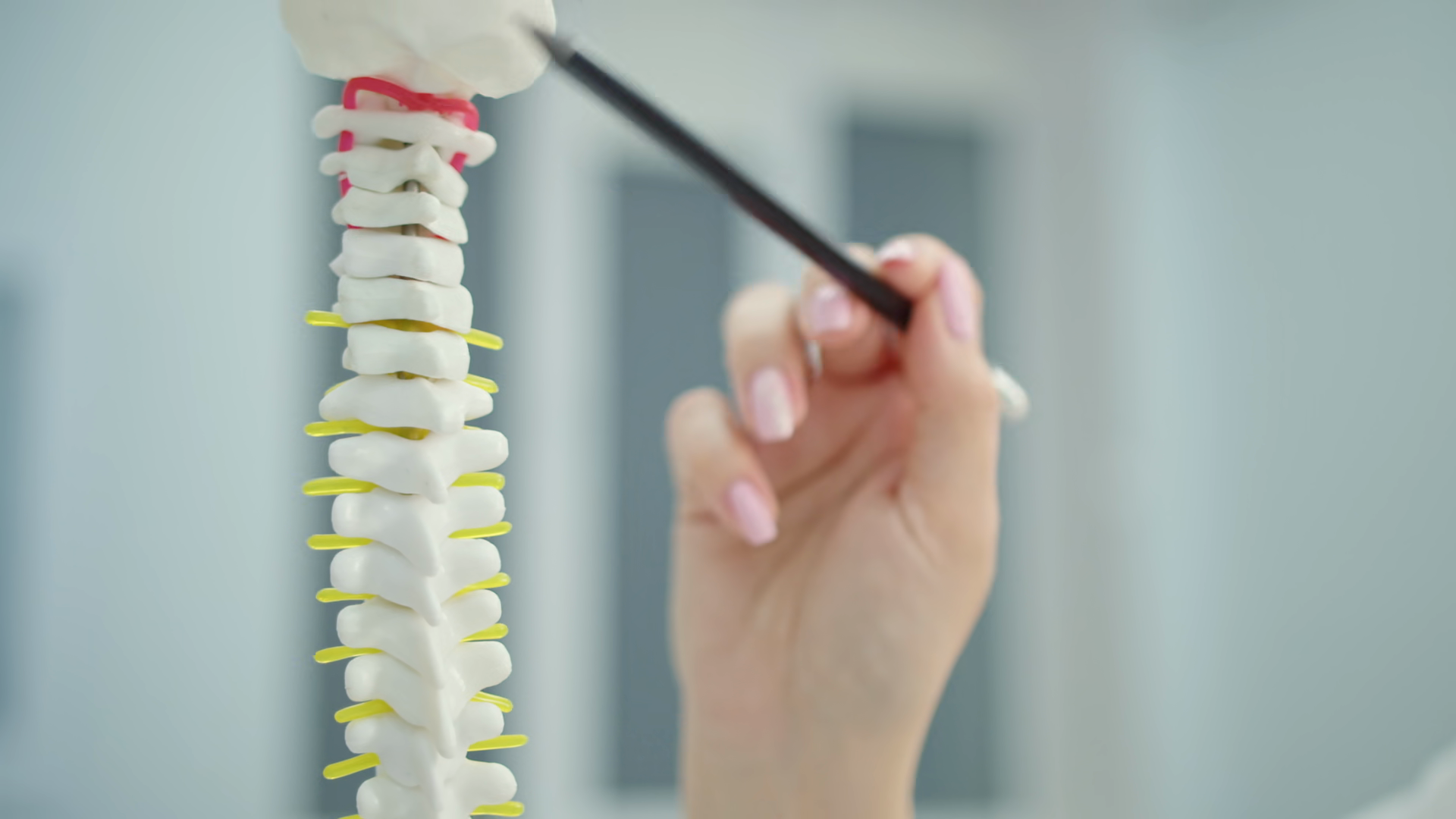Doctor Pointing At Spine Nerves On Anatomy Stock Footage SBV-353628803 ...