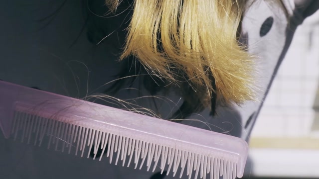 Women Hair Loss Stock Footage: Royalty-Free Video Clips - Storyblocks