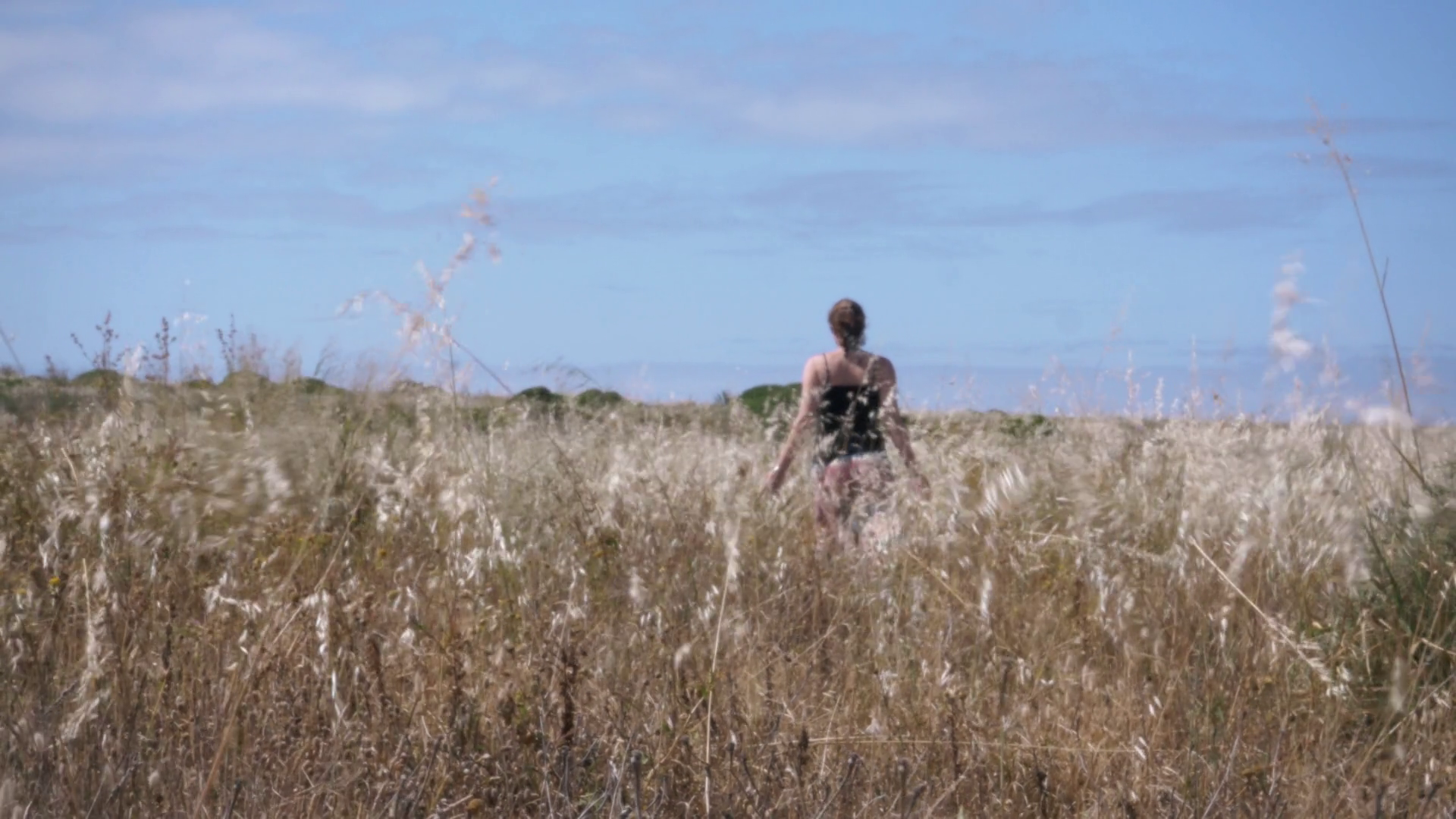 Woman Walking Away Through Field Slow Motion Stock Footage SBV ...