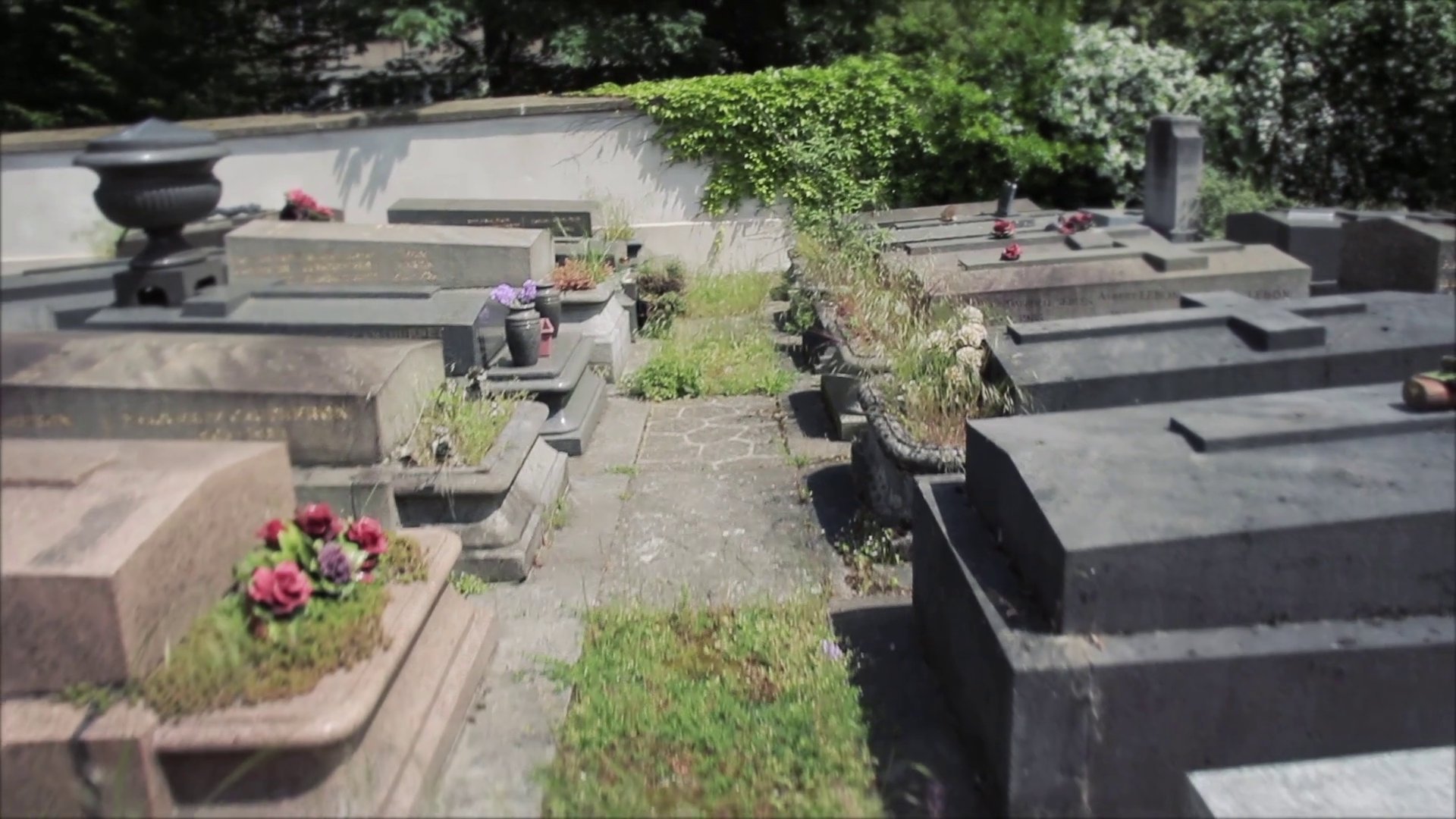 Pov Walking In Cemetery Among Graves Stock Footage SBV-352116336 ...