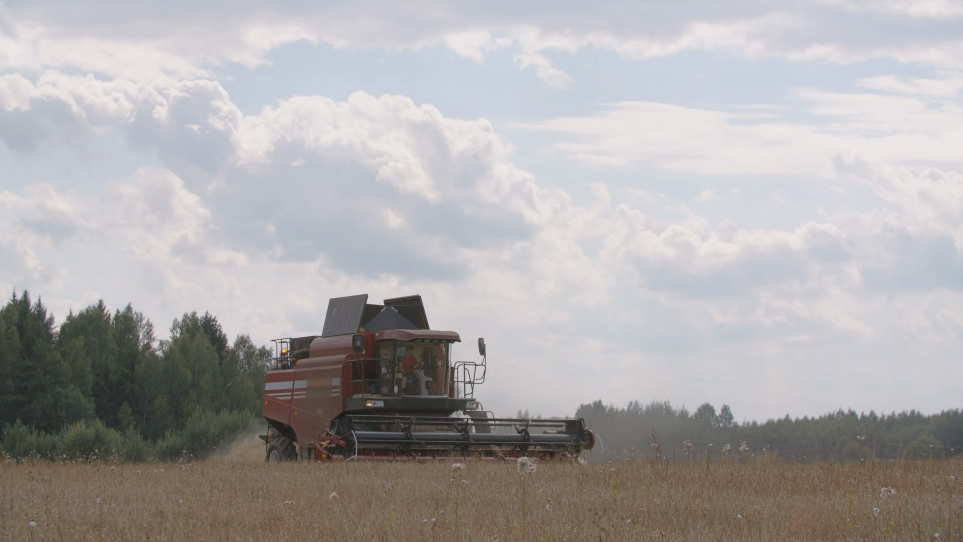 Farmer On Harvester Machine Cuts Wheat Crop Stock Footage SBV-353868464 ...