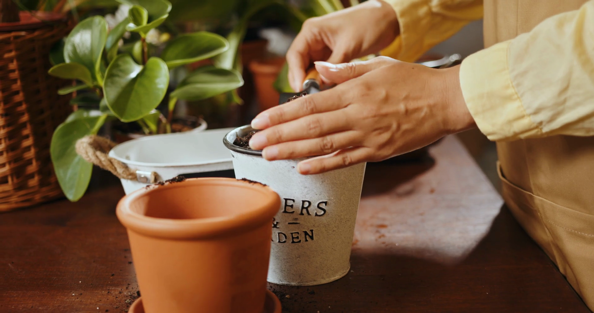 Hands Filling Pot With Soil Preparation Stock Footage SBV-348443482 ...