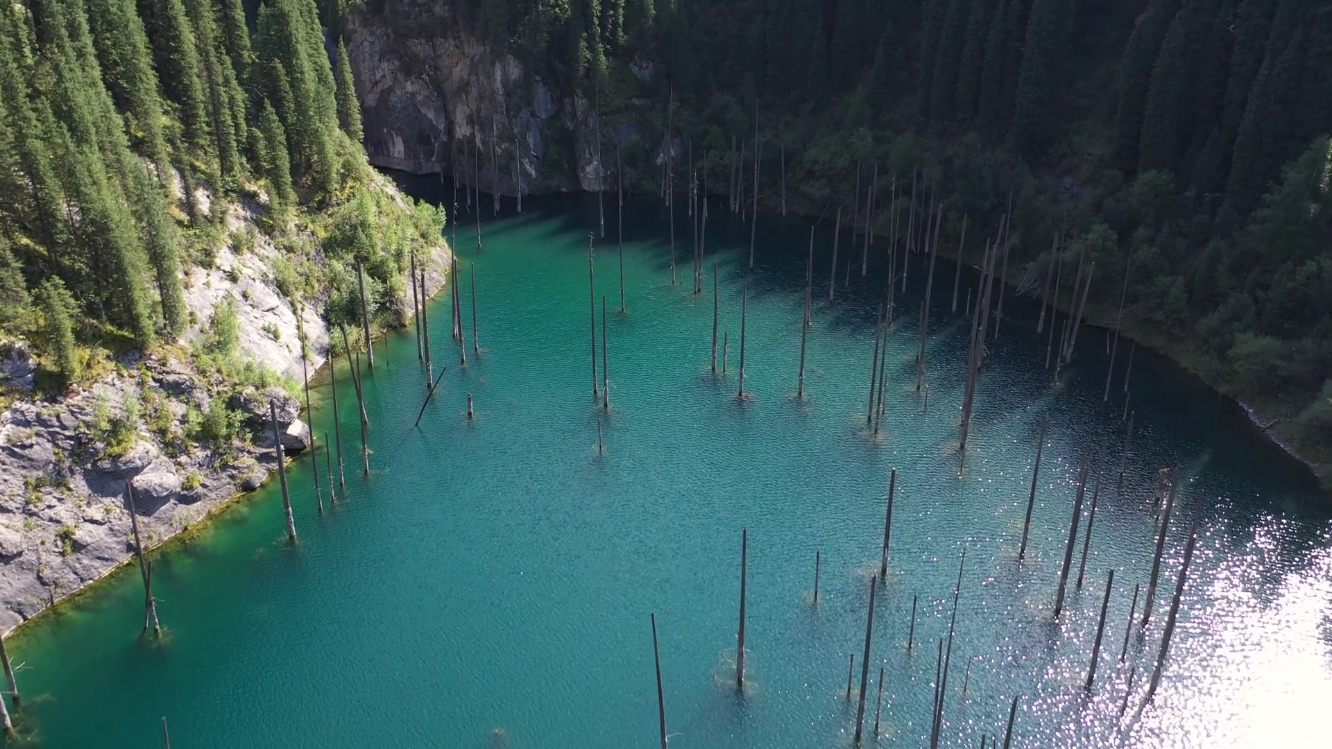 Aerial View Of Sunken Forest In Lake Kaindy Stock Footage Sbv 353311021