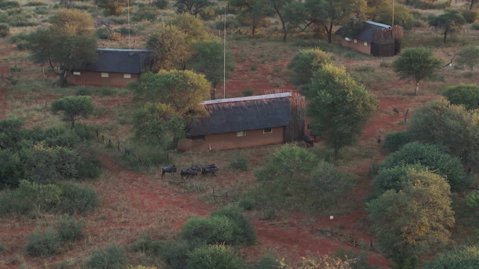 Aerial View Of Wildlife Savannah With Huts Stock Footage SBV-349115198 ...
