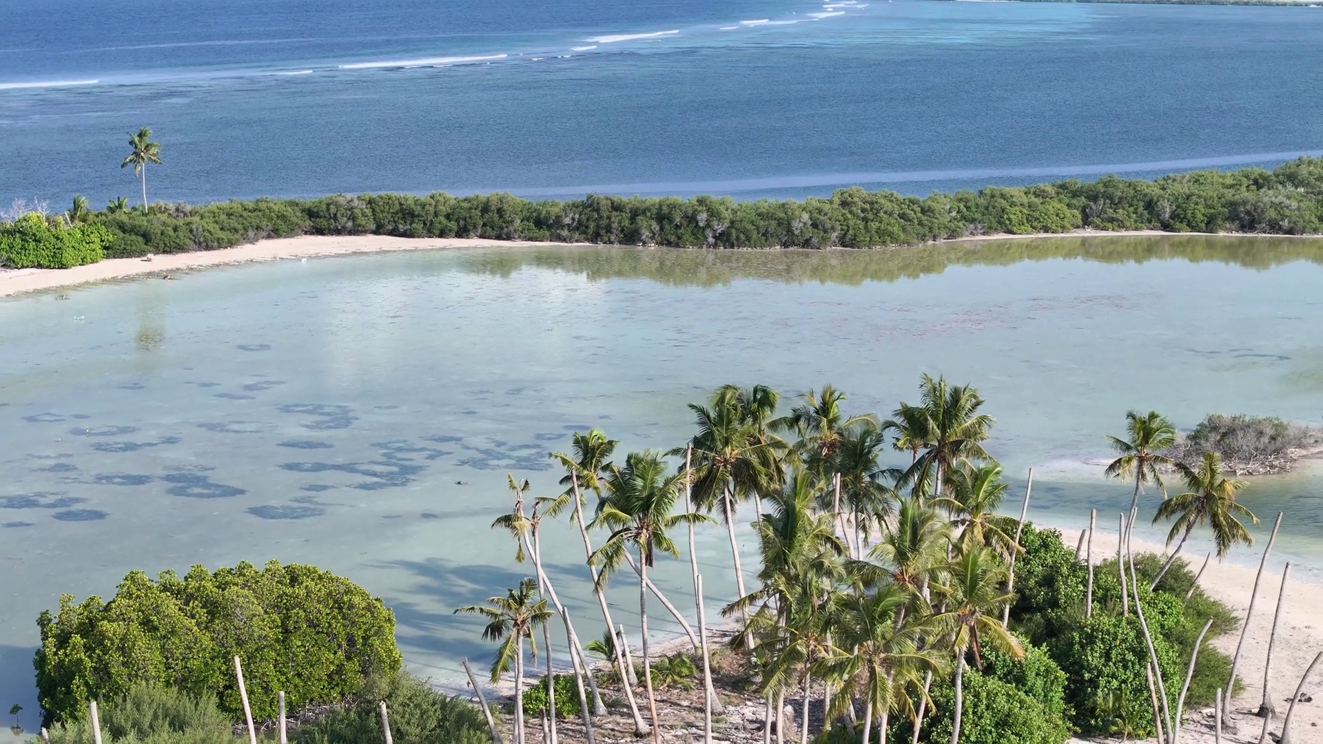 Aerial View Of Addu Nature Park With Palm Stock Footage SBV-349236209 ...
