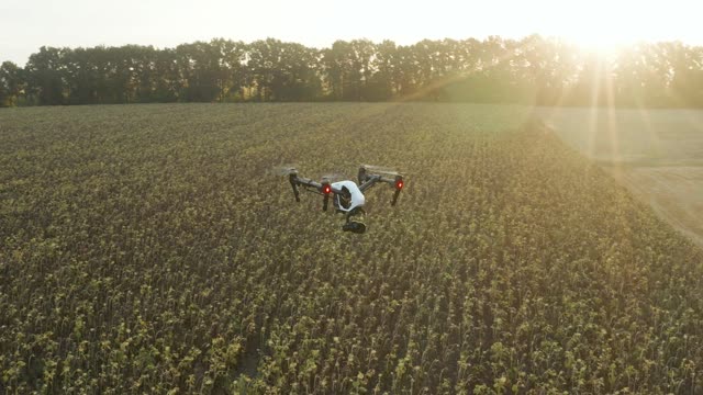 Drone Dancing Stretching Stock Footage: Royalty-Free Video Clips ...
