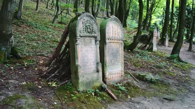 Back View Of Old Ban And Son Stock Footage: Royalty-Free Video Clips ...