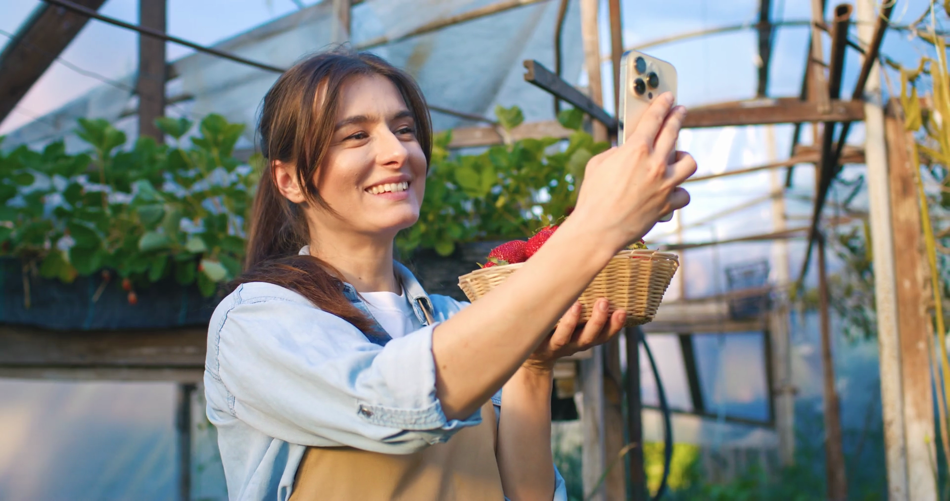 Farmer With Strawberries Taking Selfie In Stock Footage SBV-347753620 ...