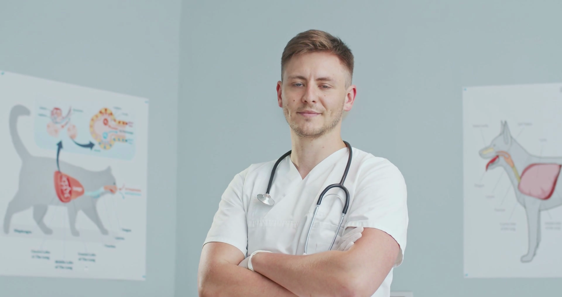 Close Up Of Young Male Veterinarian Standing Stock Footage SBV ...