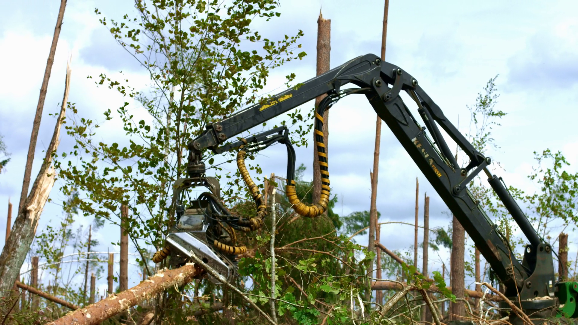 Logging In Wood Logger With Robotic Arm Stock Footage SBV-334387843 ...