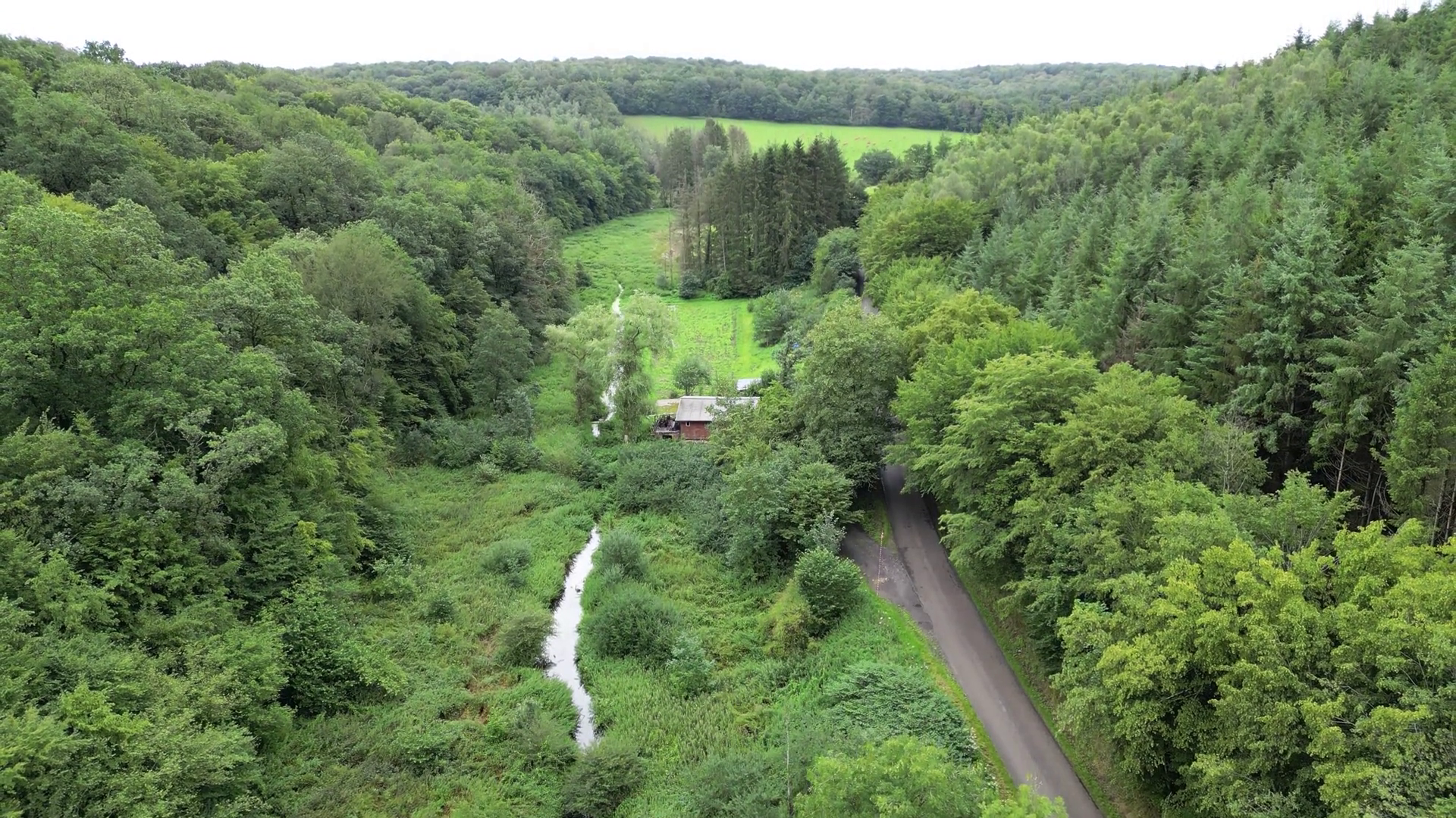 Bushes Forest Creek Small River Valley Stock Footage SBV-352270752 ...