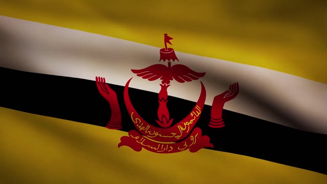 Brunei Country Stock Footage: Royalty-Free Video Clips - Storyblocks
