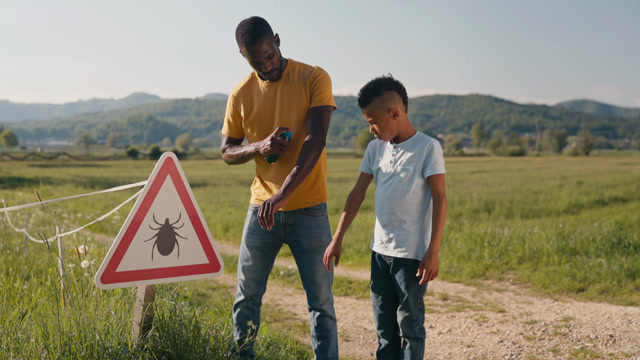 Tick Danger Stock Footage: Royalty-Free Video Clips - Storyblocks