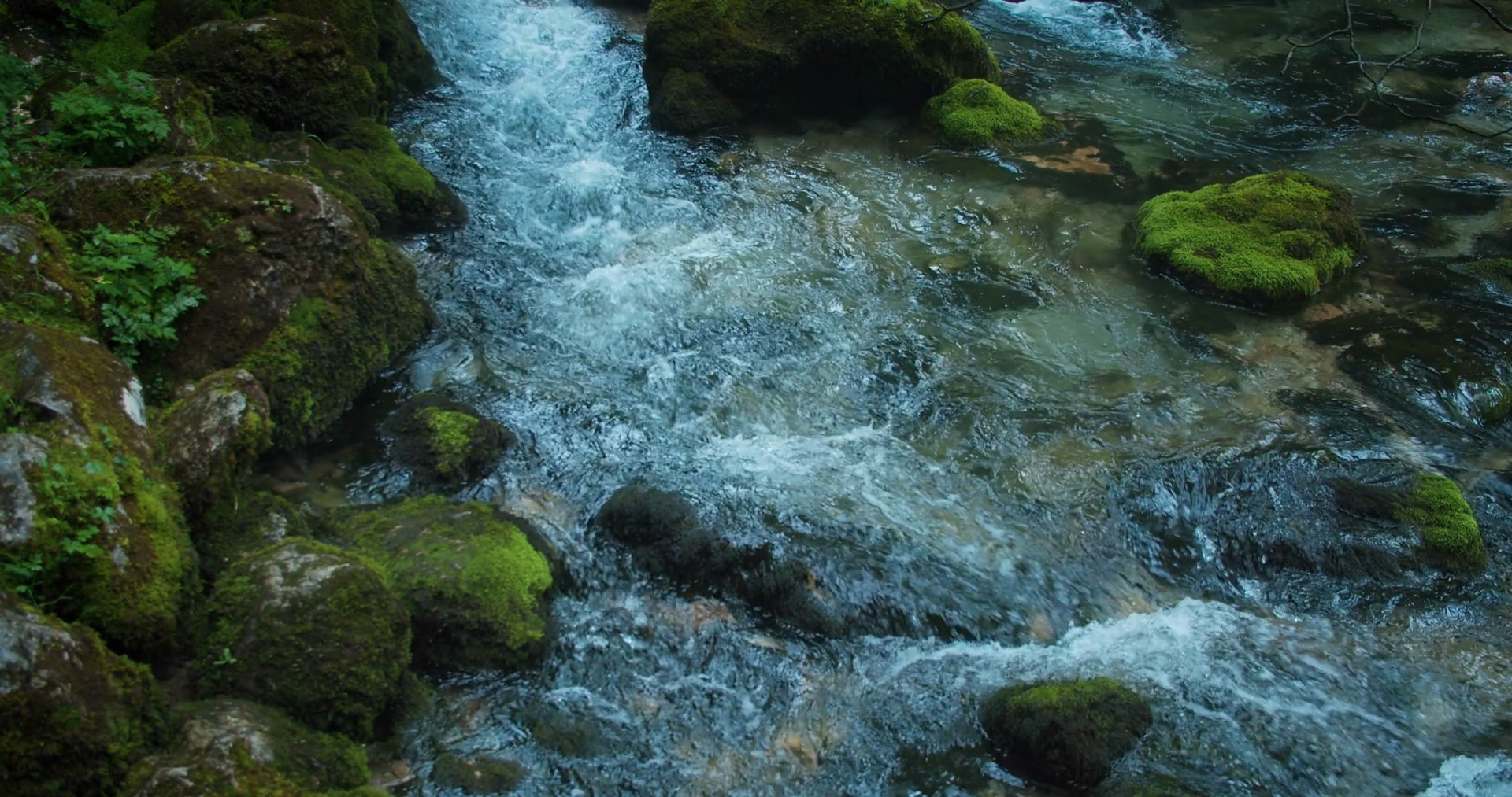 Rainy Autumn Morning In Forest Mountain Stock Footage SBV-348509146 ...